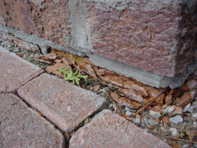 Brick spalling: Why is the brick on my house crumbling? — allthingshome.ca